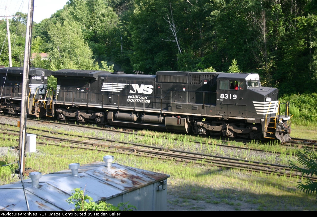 NS 8319